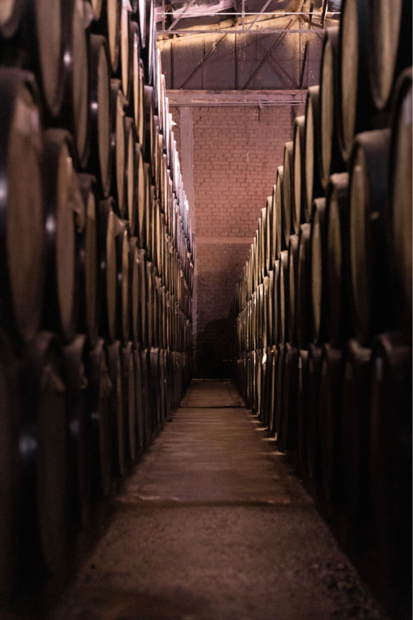 French Oak Aged Luxury Tequila: The Art of Celosa Tequila
